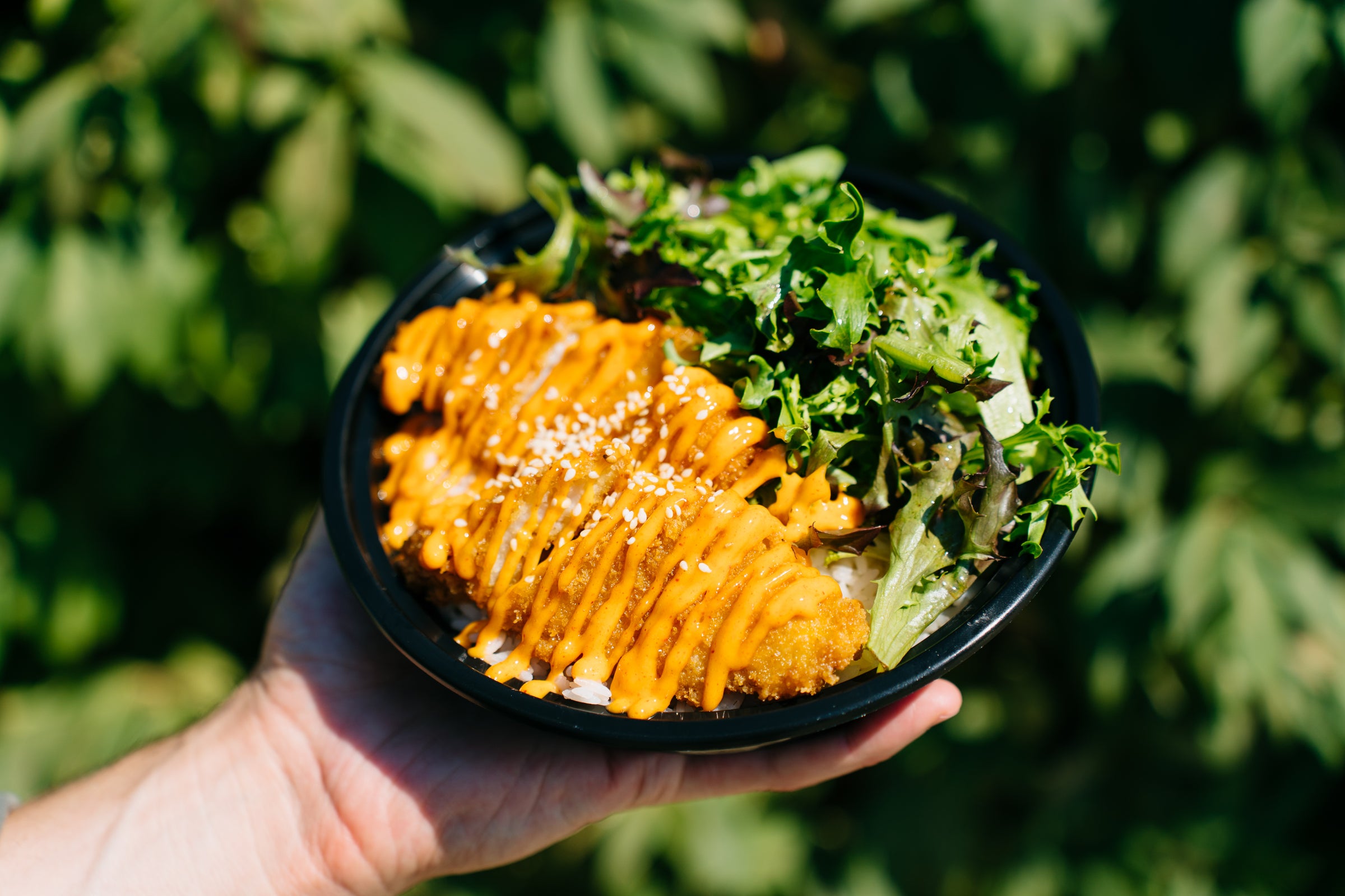 Asian Restaurant | Fast Takeout and Delivery | Bowls of Rice
